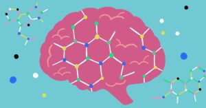 The Science Of ADHD: What Are Neurotransmitters And Why Are They So ...